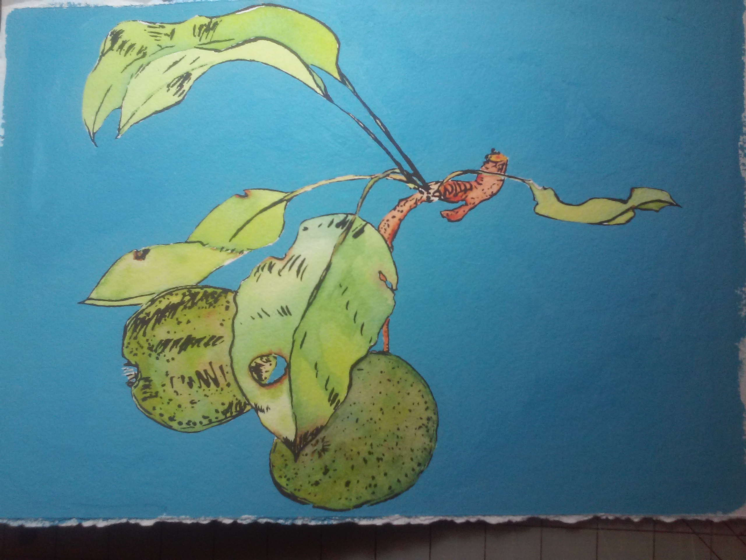 Prints – Kate Sarah Mitchell