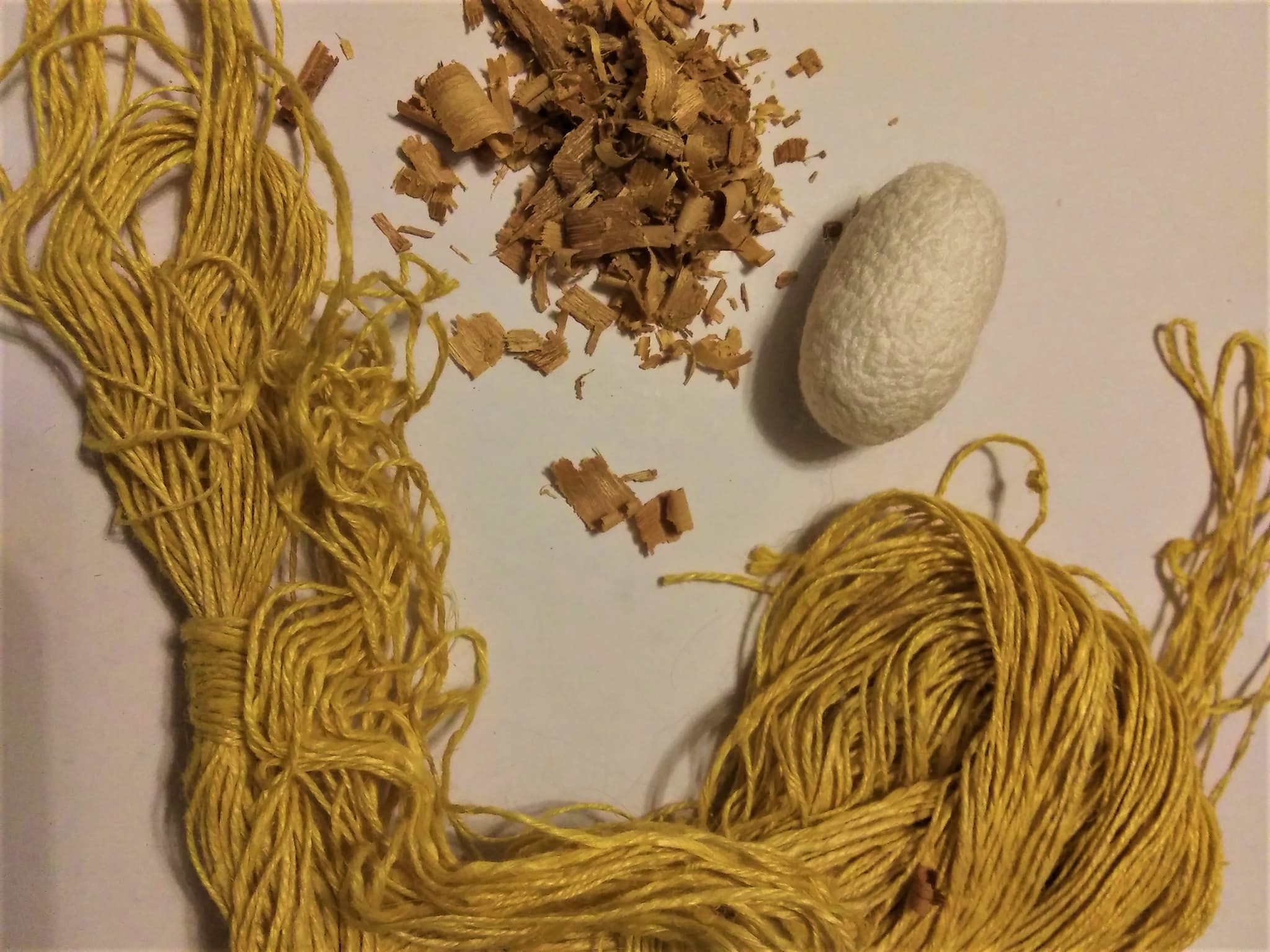 Process – Kate Sarah Mitchell