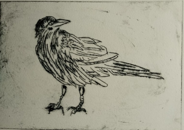 Crow – Kate Sarah Mitchell